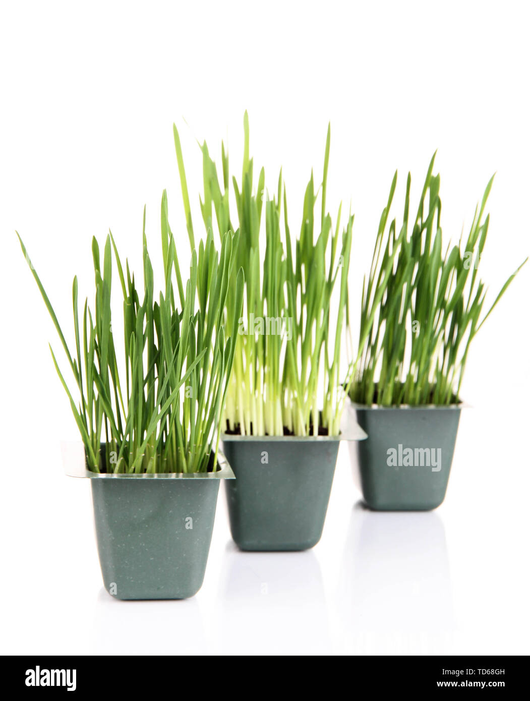 Seed boxes hi-res stock photography and images - Alamy