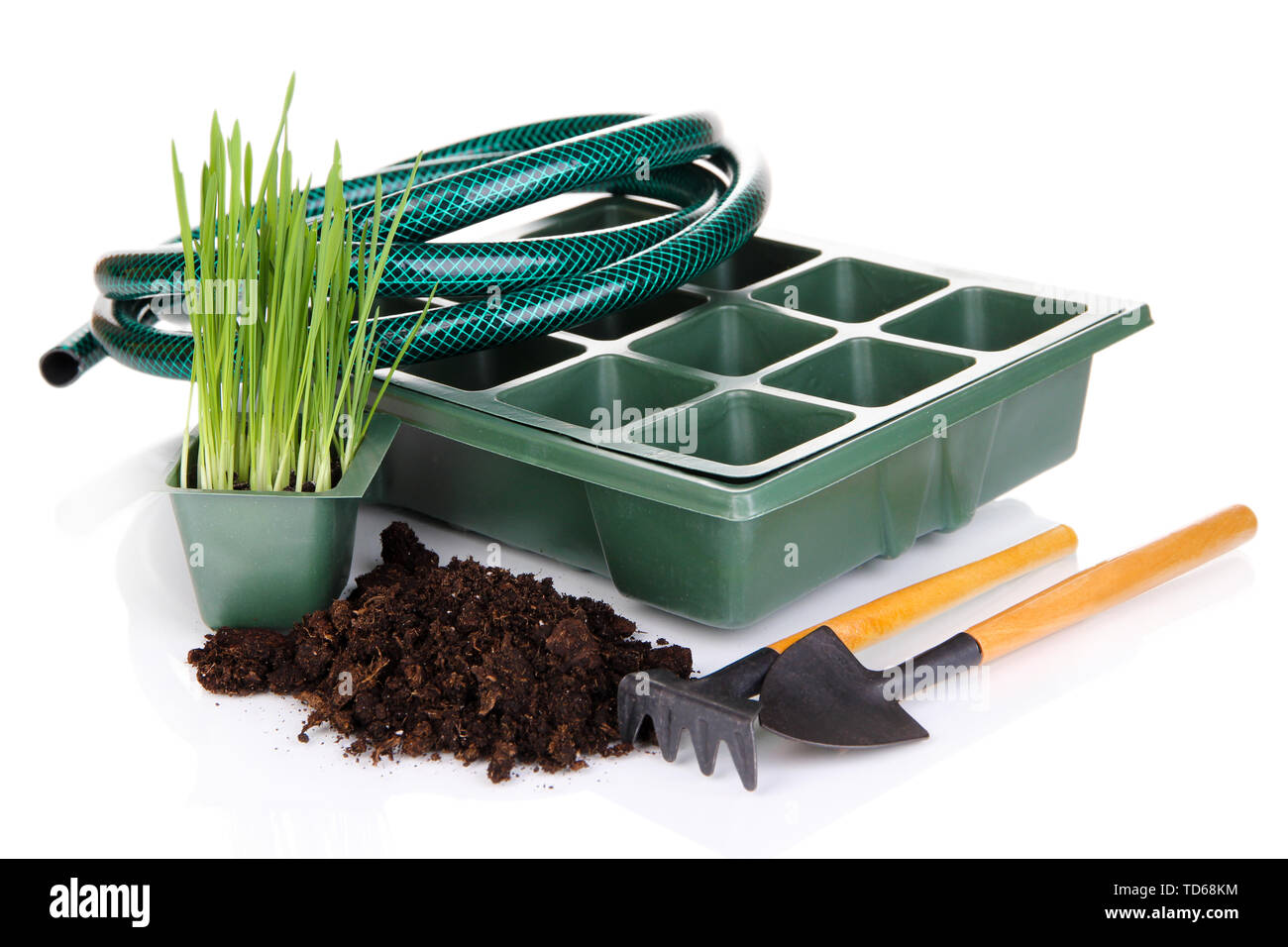 Seed box for seedling isolated on white Stock Photo - Alamy