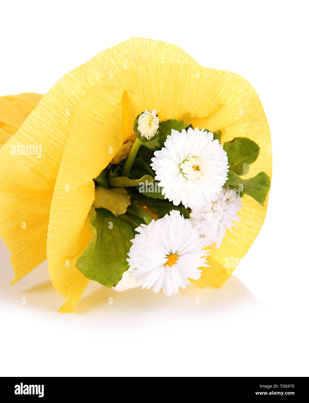 Beautiful spring flowers isolated on white Stock Photo - Alamy