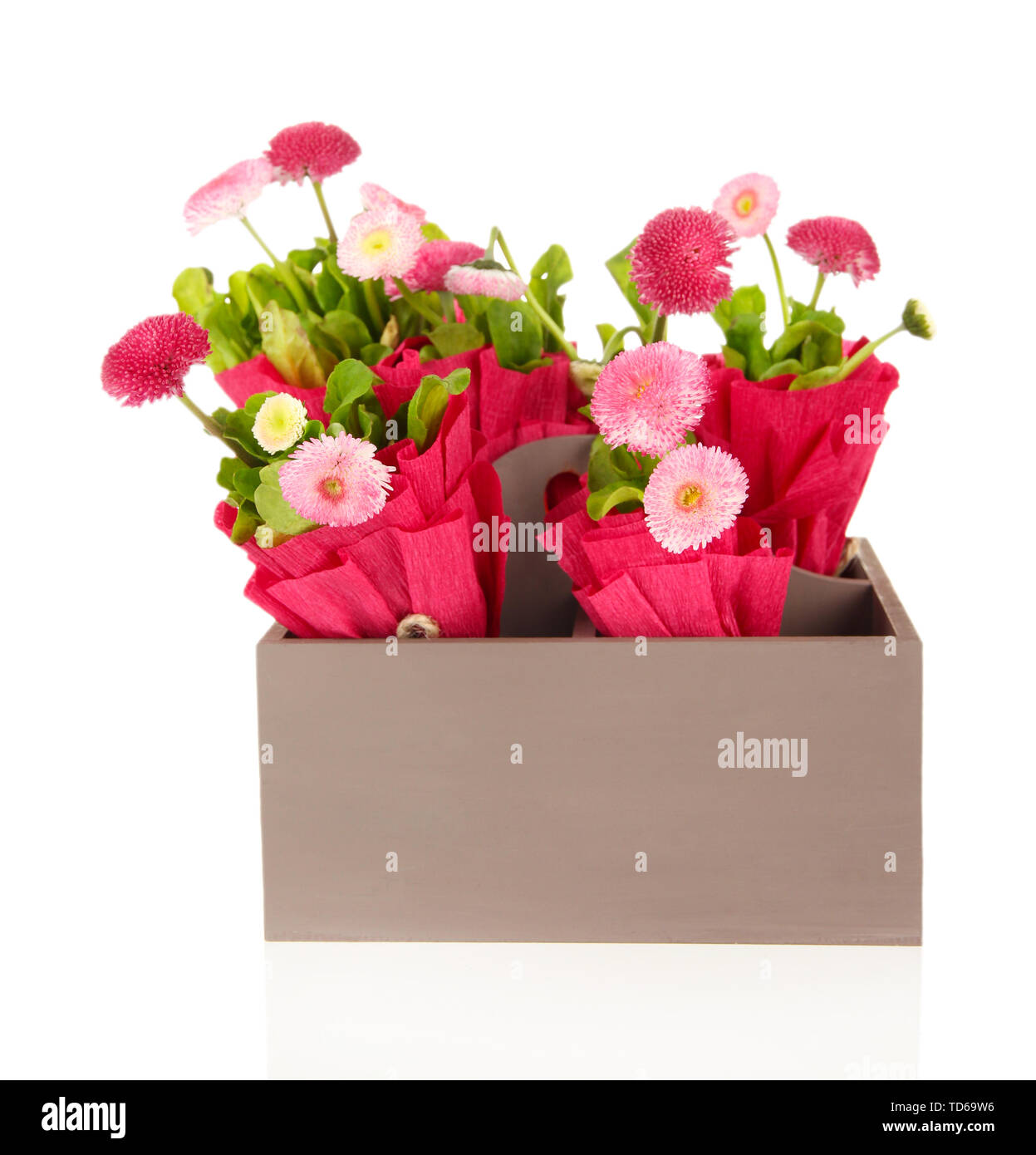 Beautiful spring flowers in wooden crate isolated on white Stock Photo ...