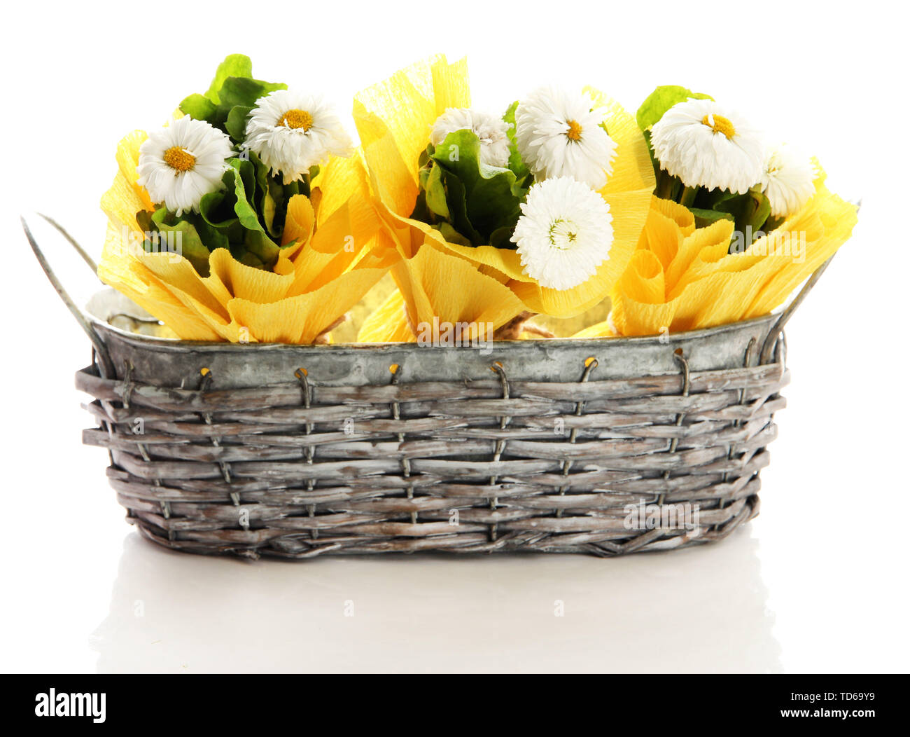 Beautiful spring flowers in basket isolated on white Stock Photo - Alamy