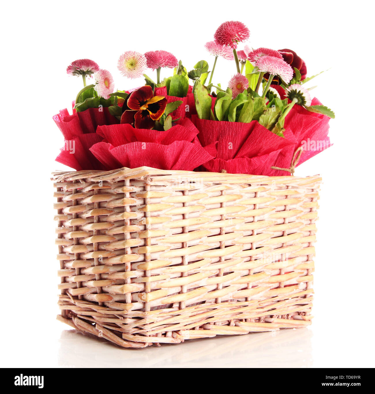 Beautiful spring flowers in basket isolated on white Stock Photo - Alamy