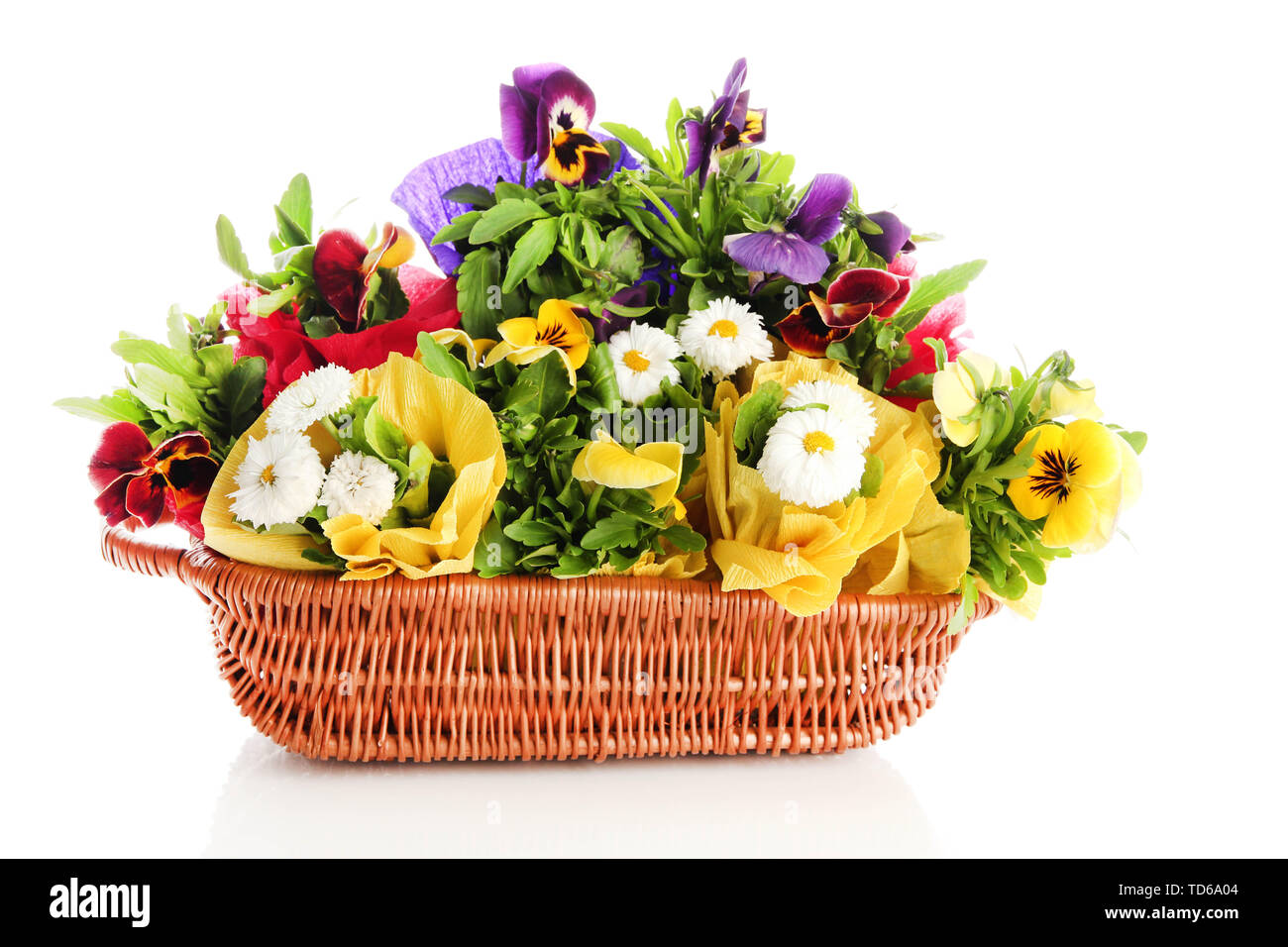 Beautiful spring flowers in basket isolated on white Stock Photo - Alamy