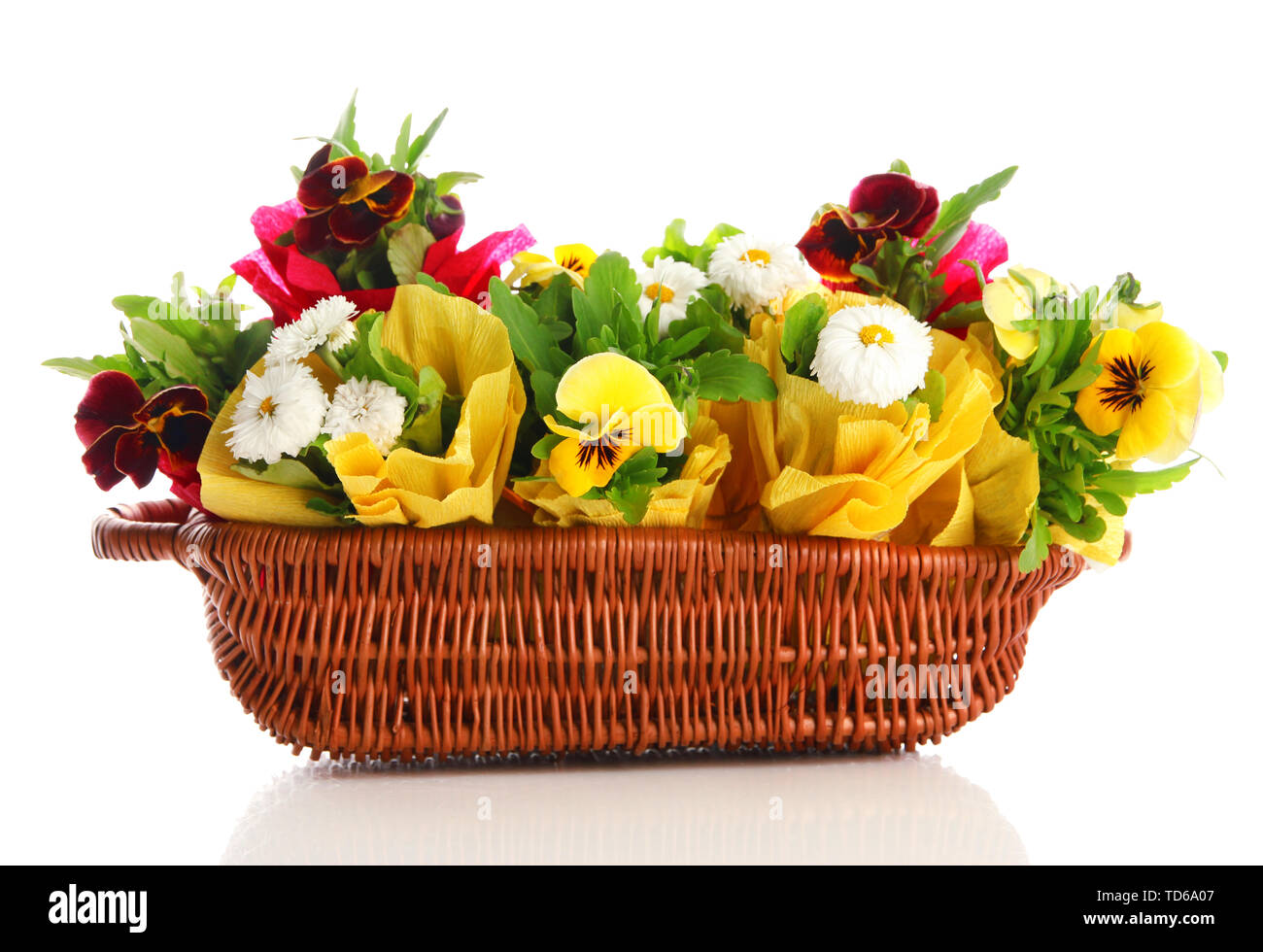 Beautiful spring flowers in basket isolated on white Stock Photo - Alamy