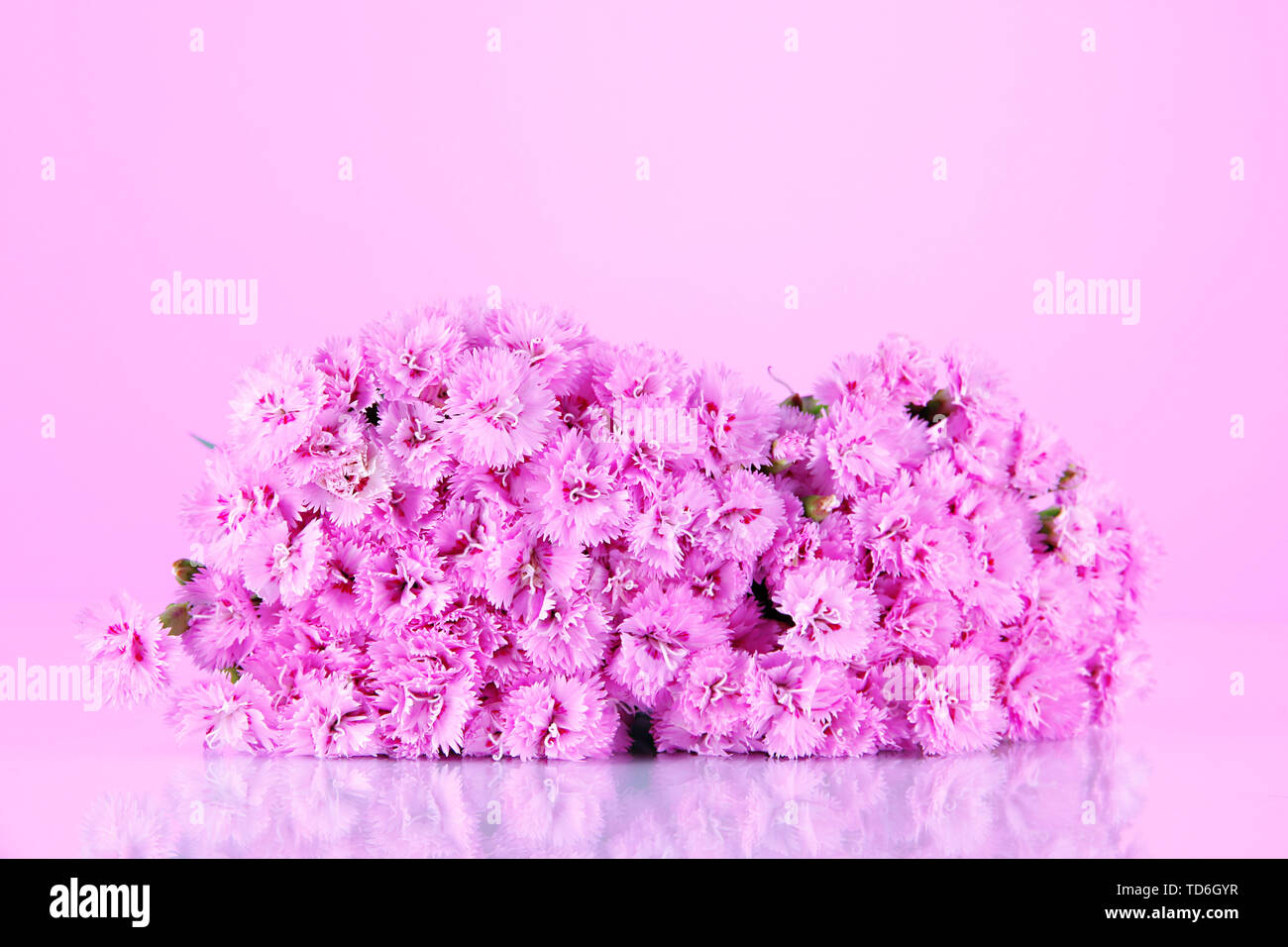Many small pink cloves on pink background Stock Photo - Alamy