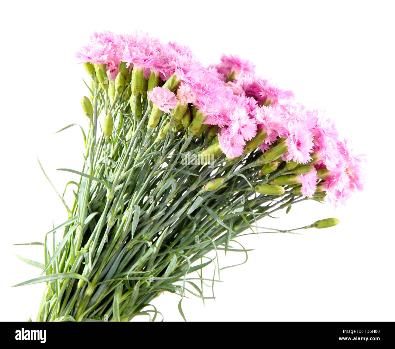 Pink and white ripple Cut Out Stock Images & Pictures - Alamy