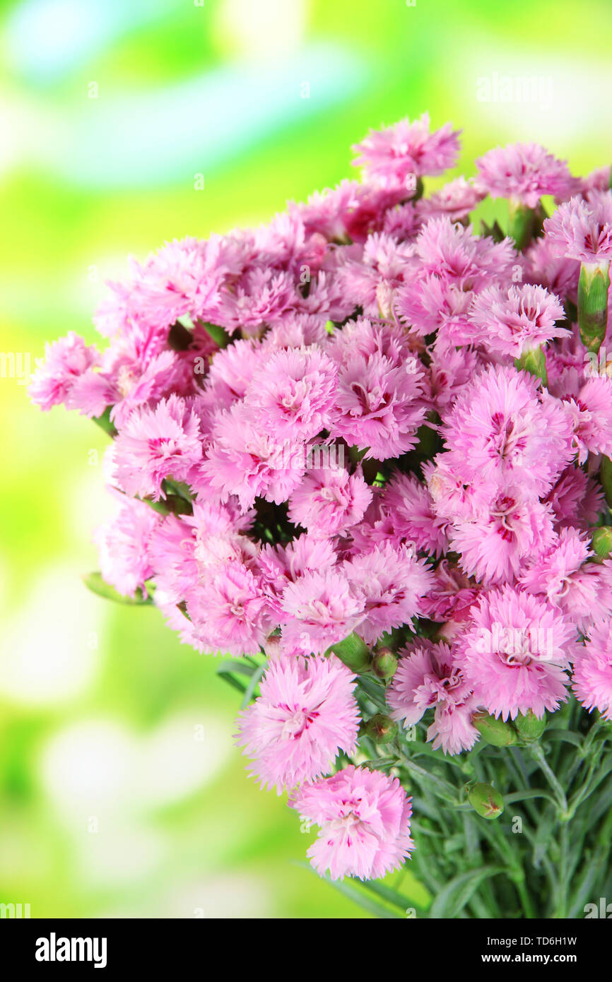 Many small pink cloves on nature background Stock Photo - Alamy