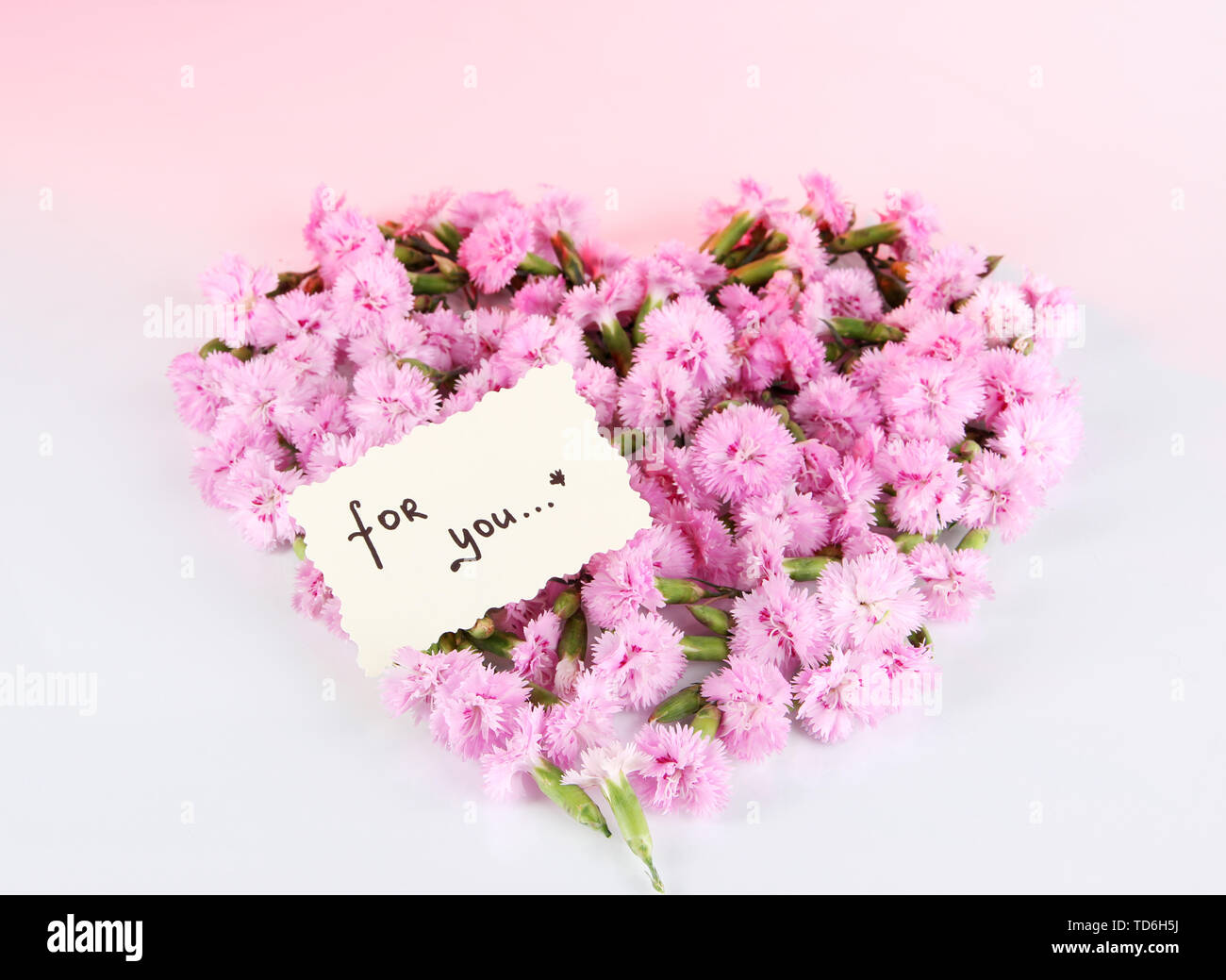 Heart of small pink cloves on light pink tone Stock Photo - Alamy