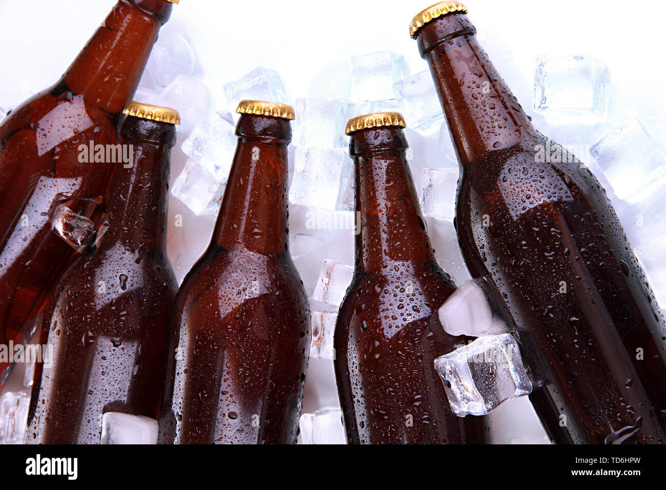 Beer bottles in ice cubes close up Stock Photo - Alamy