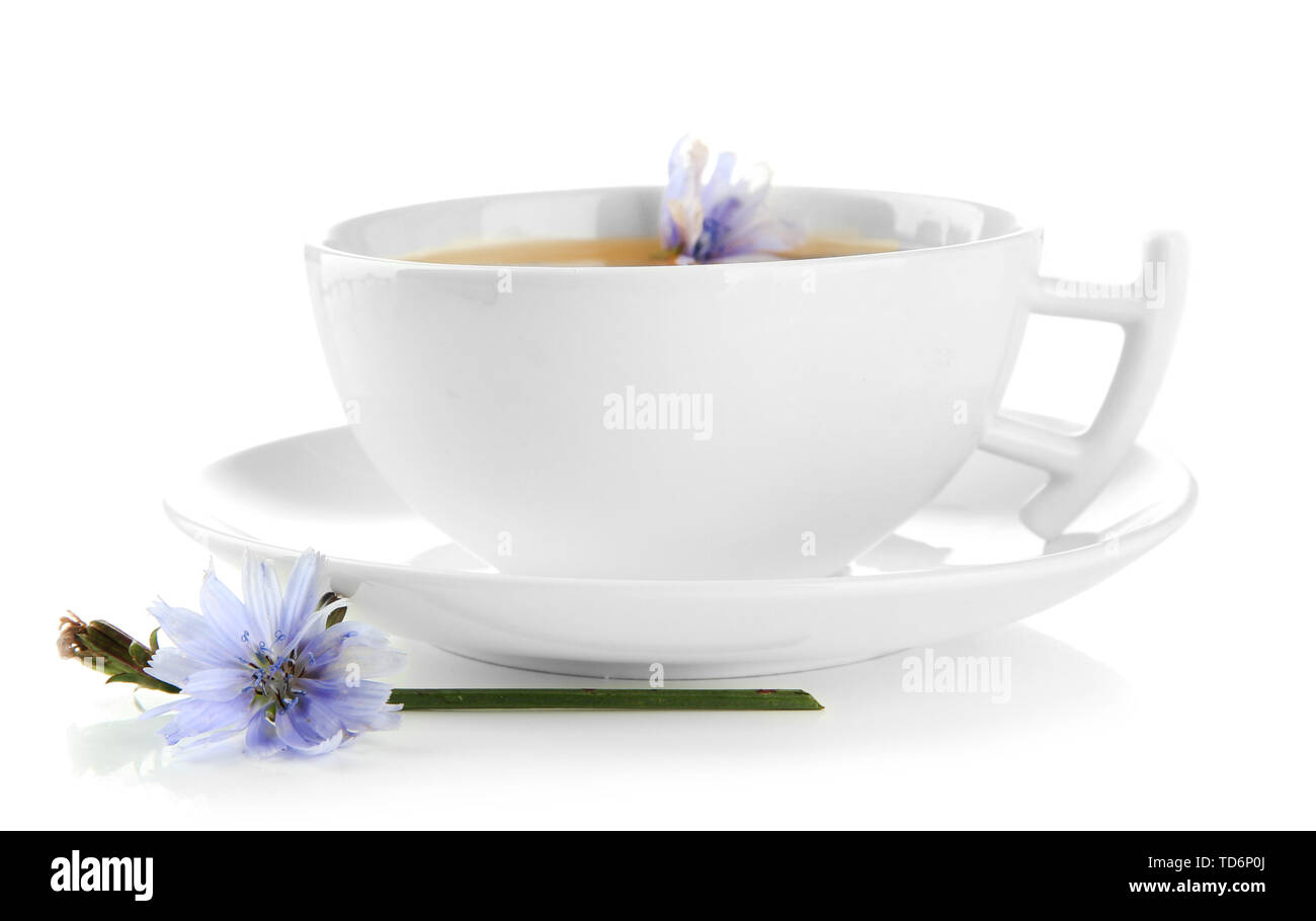 Cup chicory tea flowers hi-res stock photography and images - Alamy