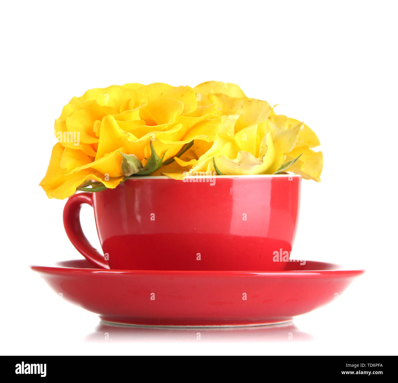 Table red roses Cut Out Stock Images & Pictures - Alamy