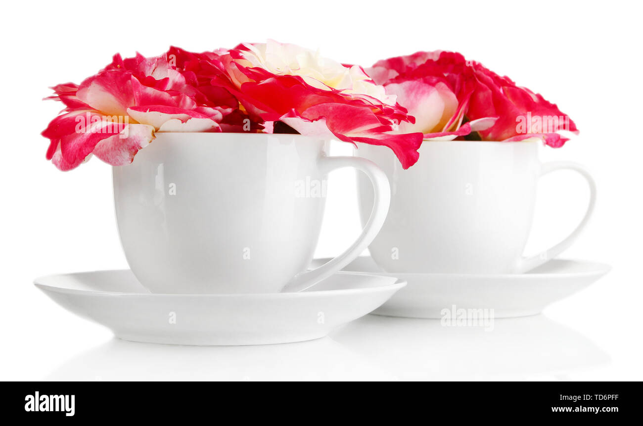 Beautiful roses in cups hi-res stock photography and images - Alamy
