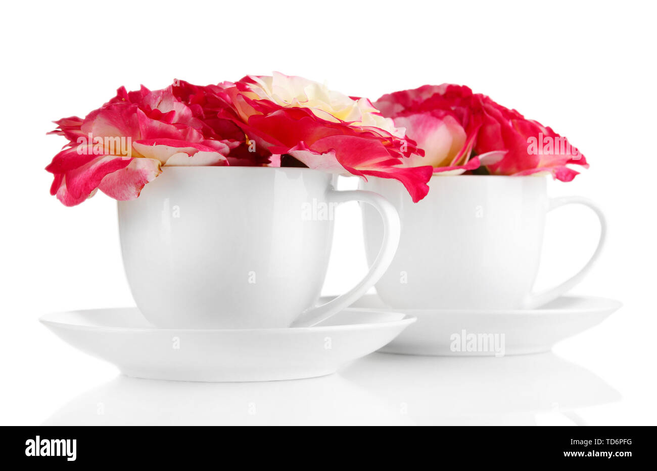 Beautiful roses in cups hi-res stock photography and images - Alamy