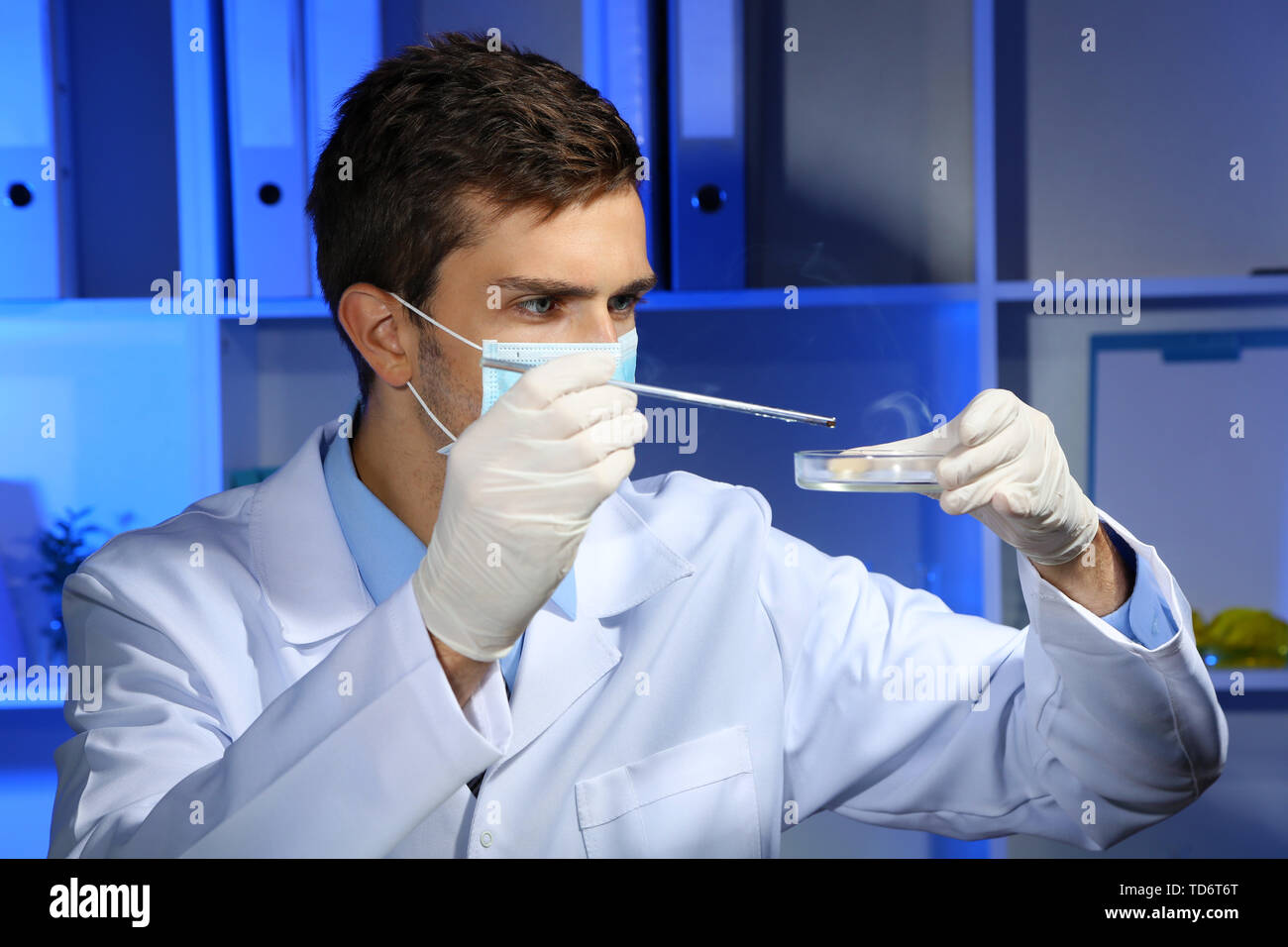 Young laboratory scientist with petri dish working at lab Stock Photo ...