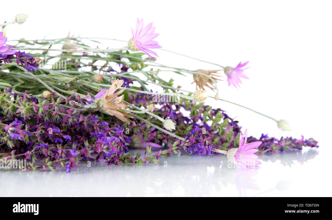 Wild flowers, isolated on white Stock Photo - Alamy