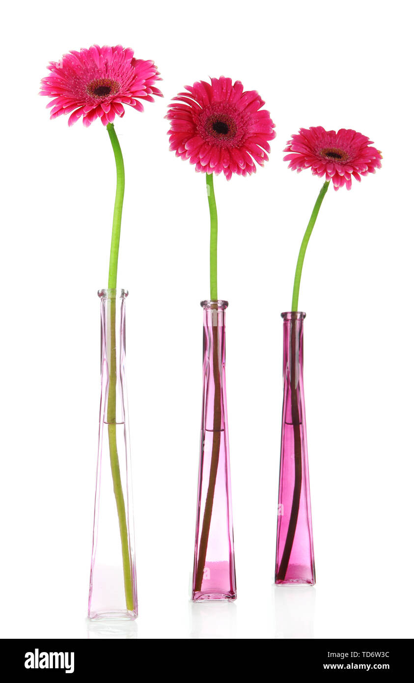 Beautiful pink gerbera flowers in vases isolated on white Stock Photo ...