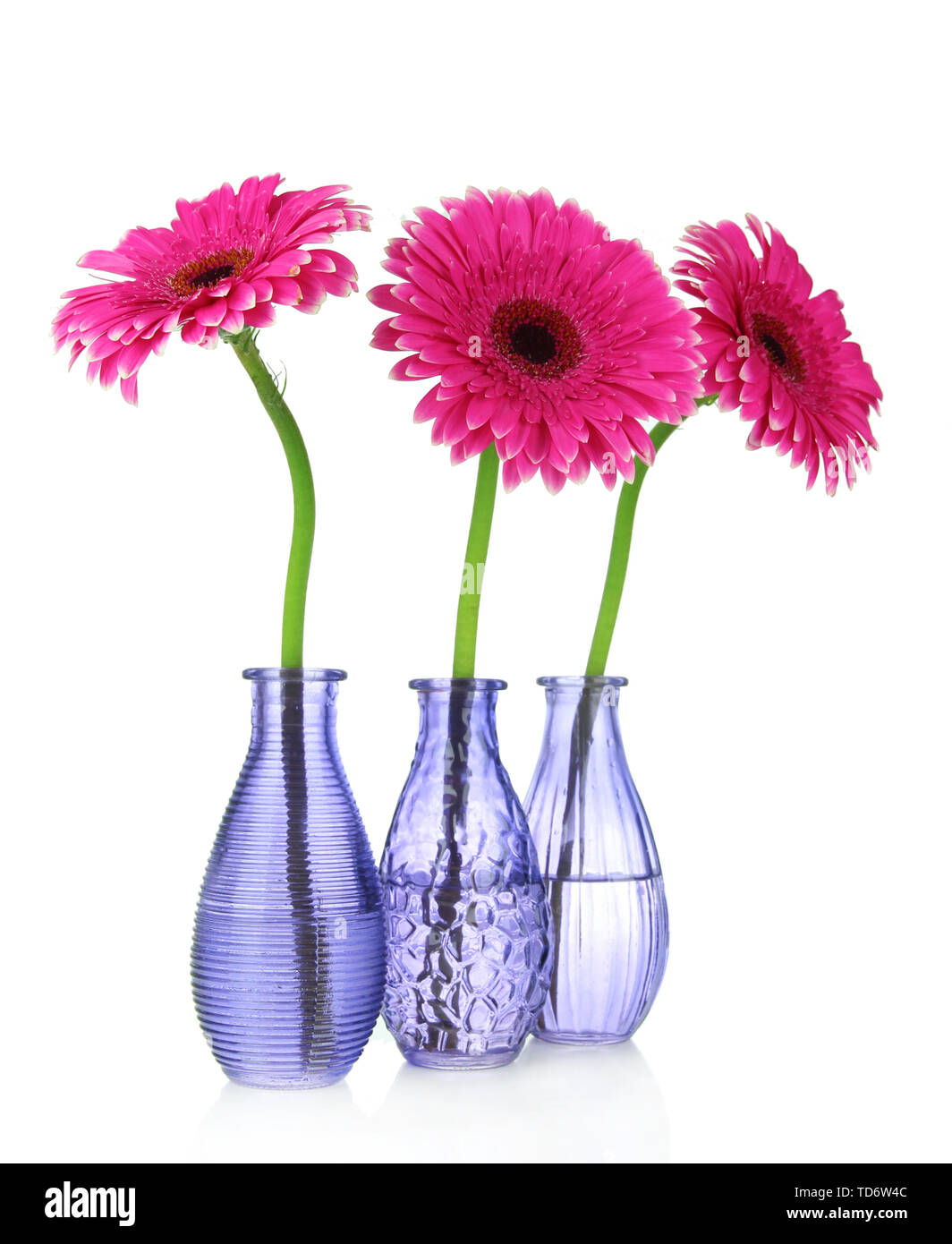Vases beautiful gerbera flowers hi-res stock photography and images - Alamy