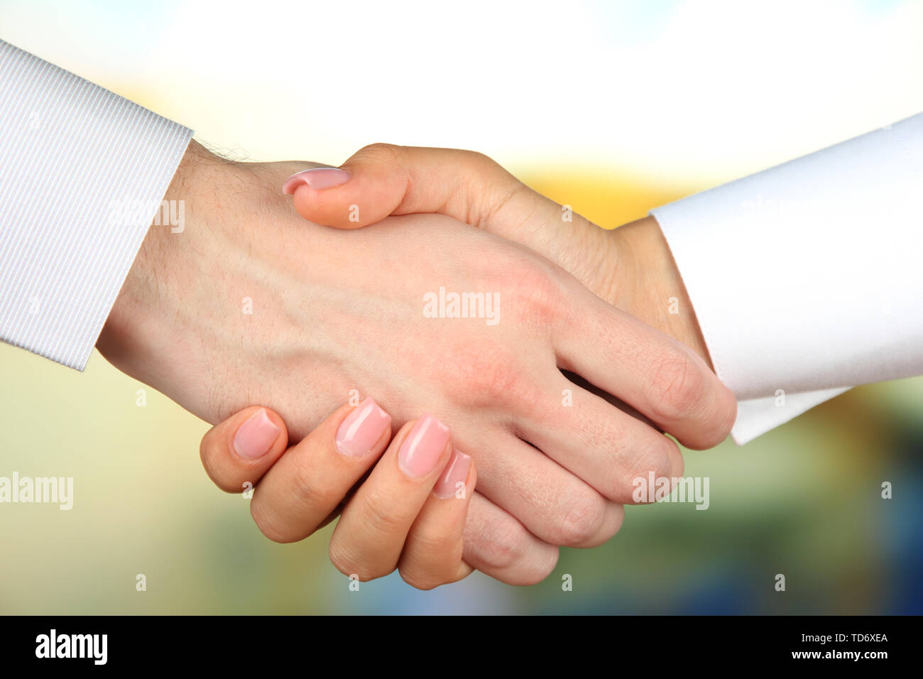 Business handshake on bright background Stock Photo - Alamy