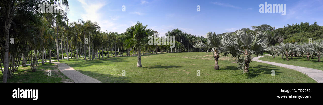 Lianhuashan Park, Shenzhen Stock Photo - Alamy