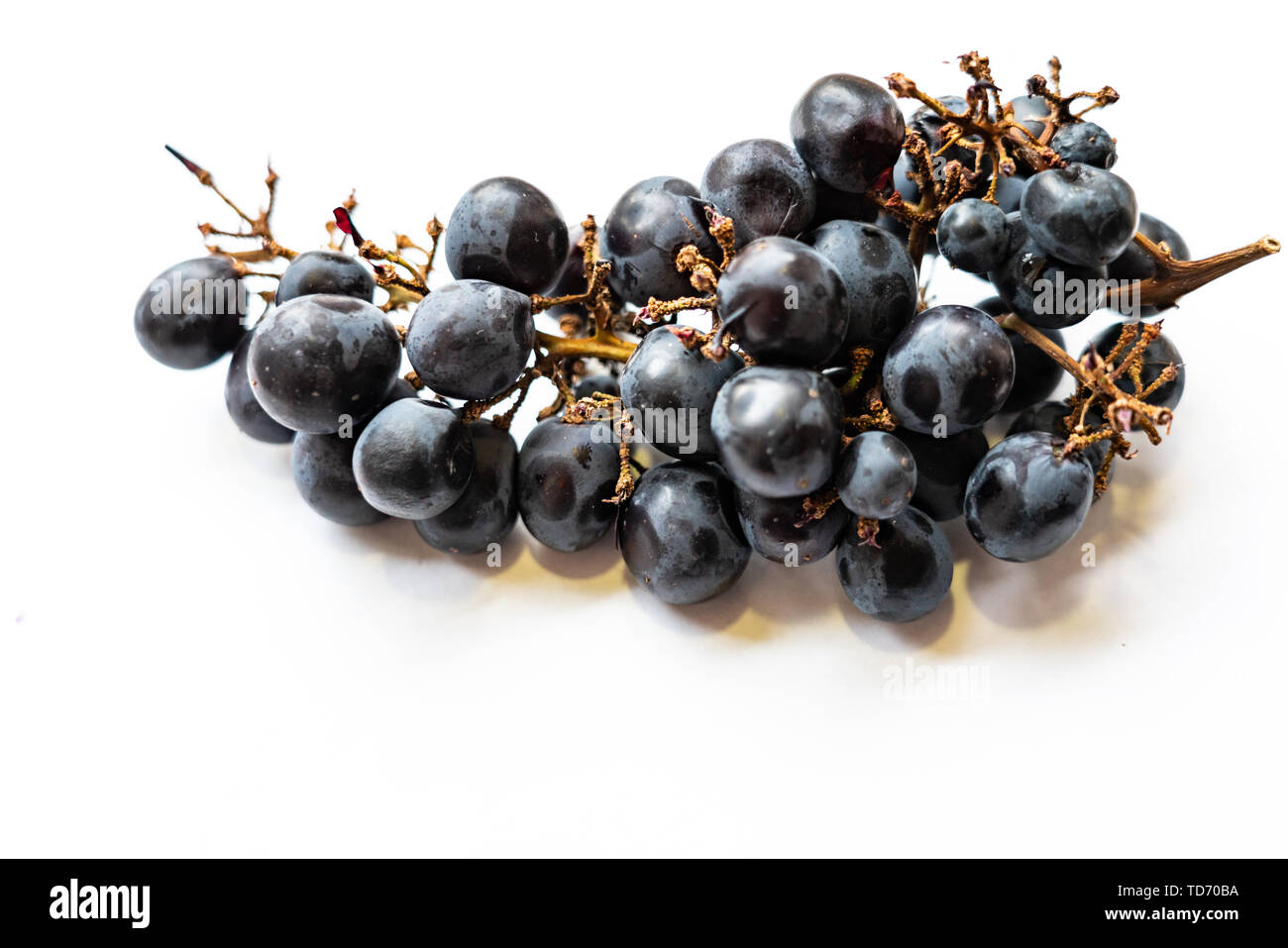 A crystal clear grape Stock Photo - Alamy