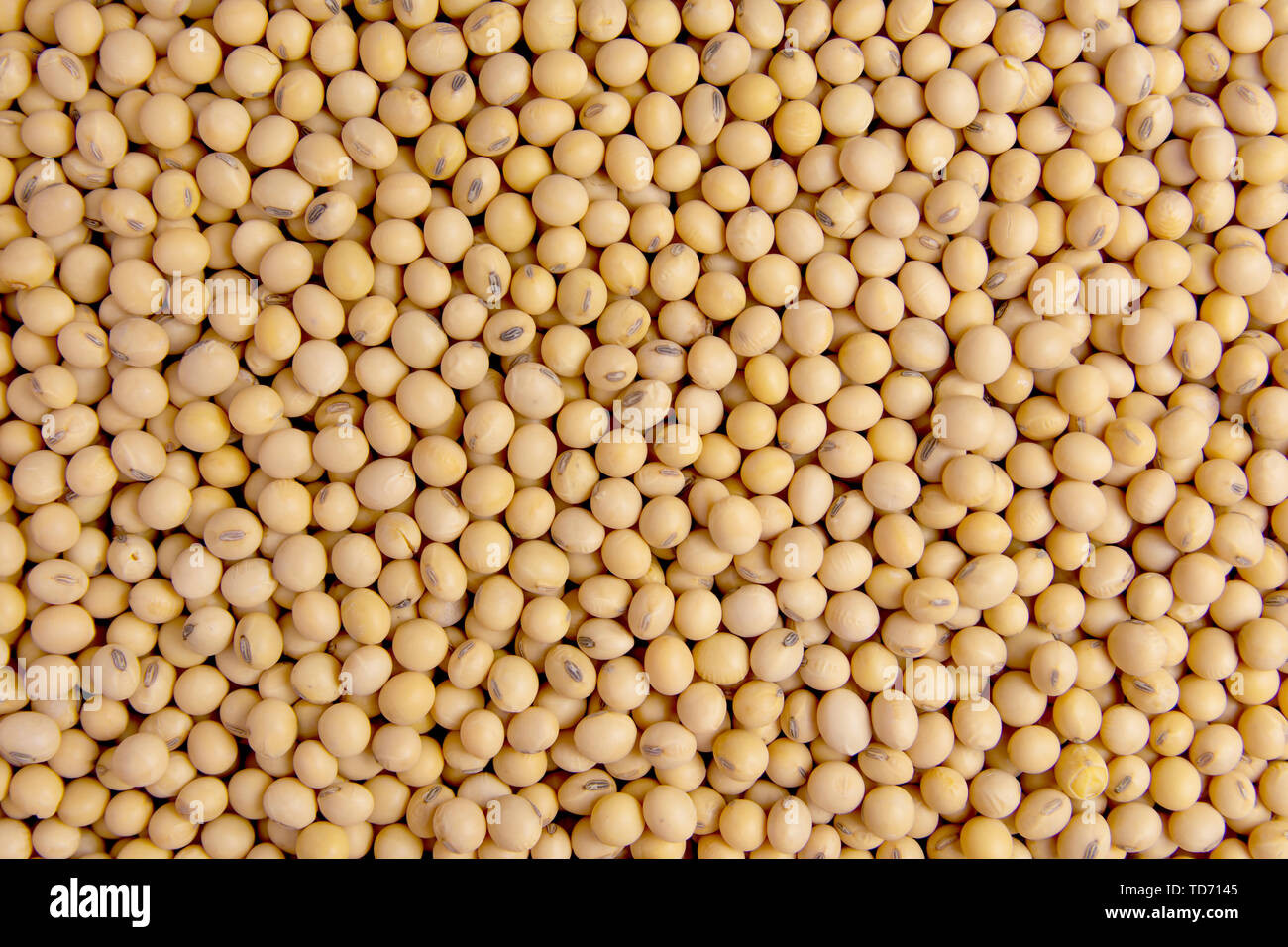 Soybean pattern as background Stock Photo - Alamy
