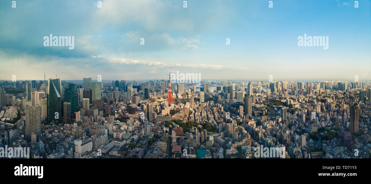Tokyo panoramic skyline Stock Photo - Alamy