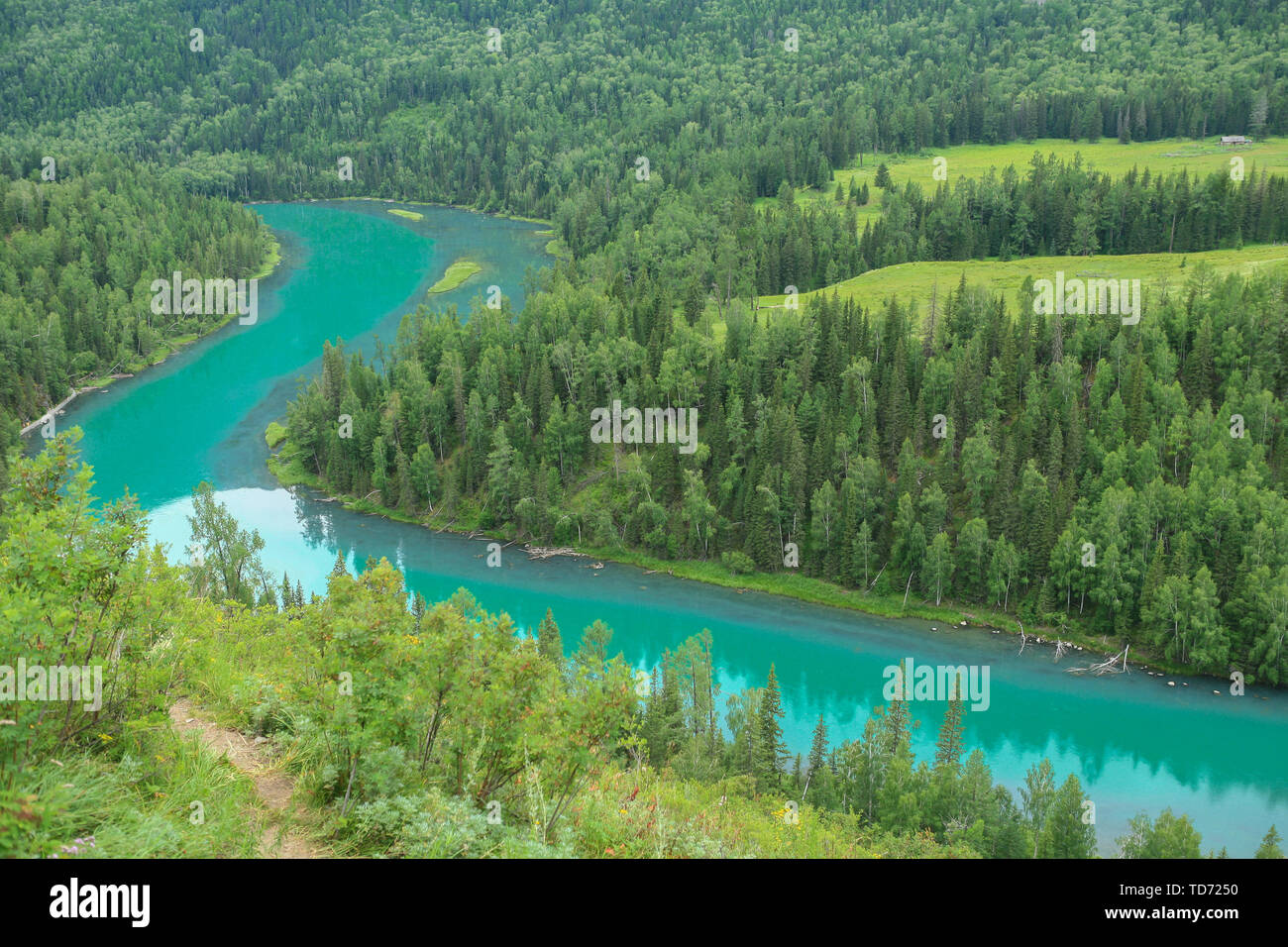 Landscape of green grassland of Kanas River in Kanas Lake, Altai ...