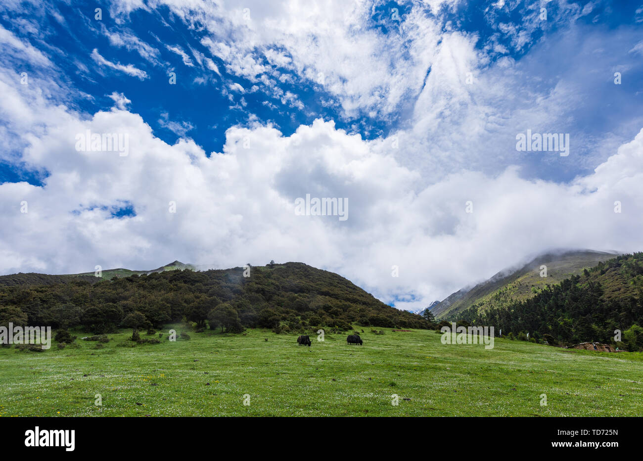 Gonga mountain hi-res stock photography and images - Alamy