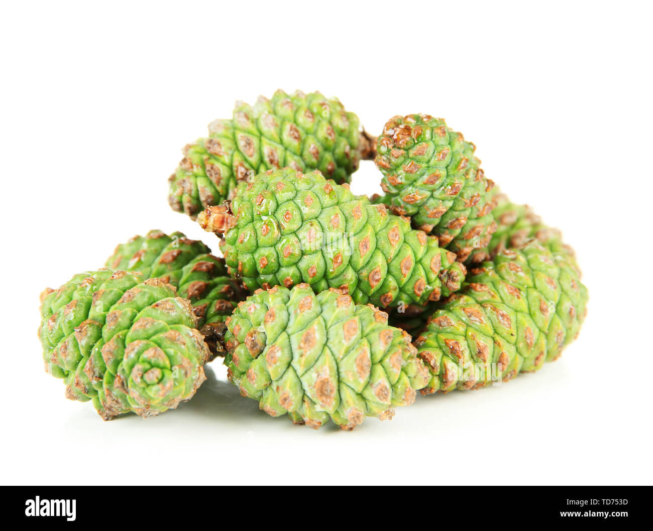 Young green pine cone on Cut Out Stock Images & Pictures - Alamy