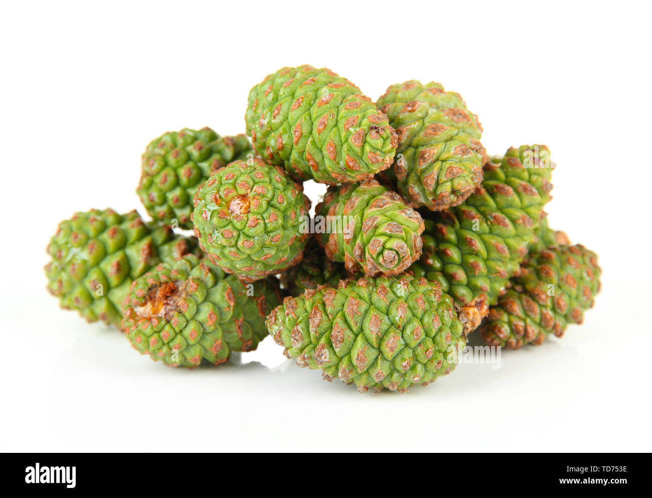 Young green pine cone on Cut Out Stock Images & Pictures - Alamy