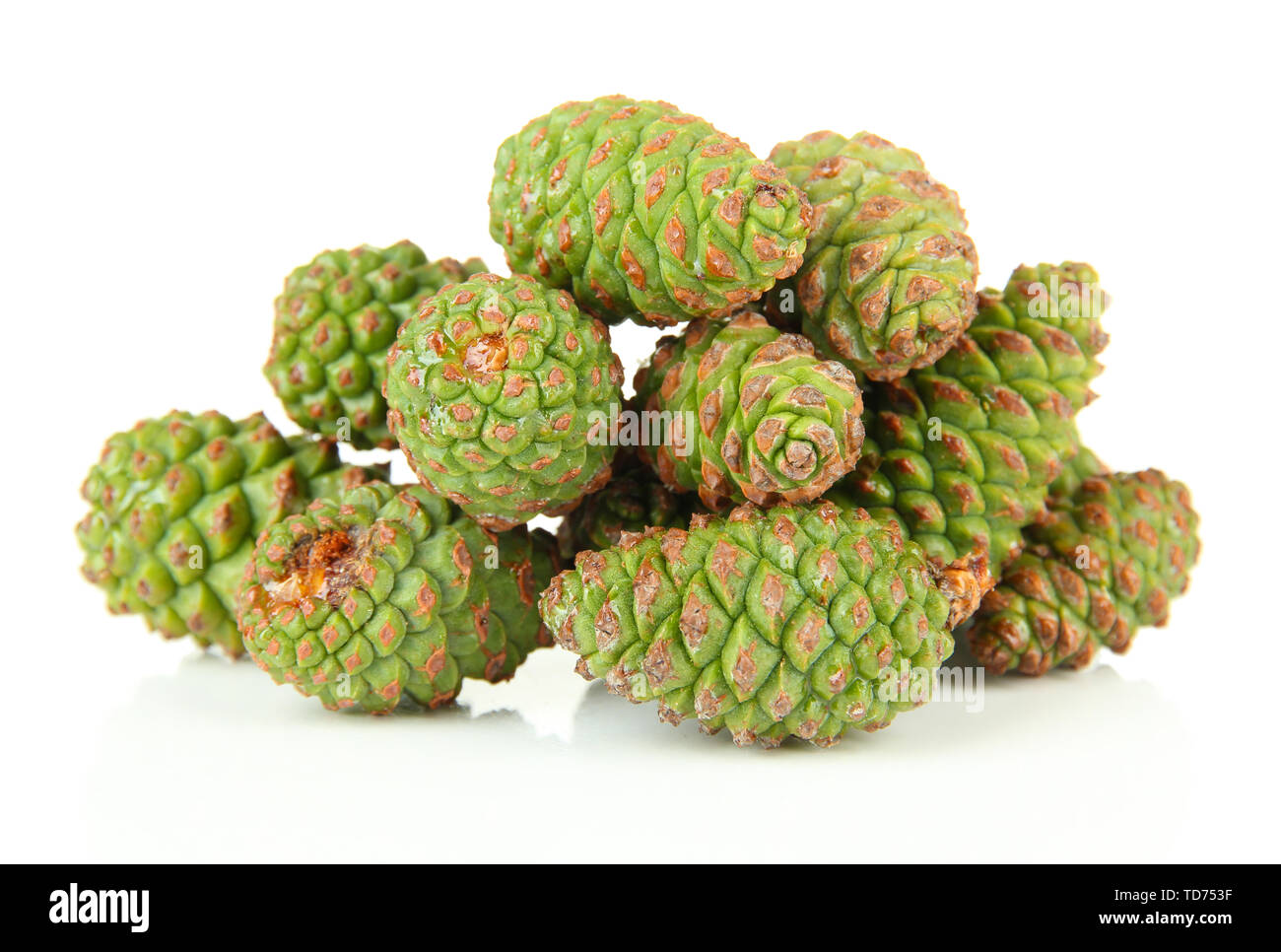 Young green pine cone on Cut Out Stock Images & Pictures - Alamy