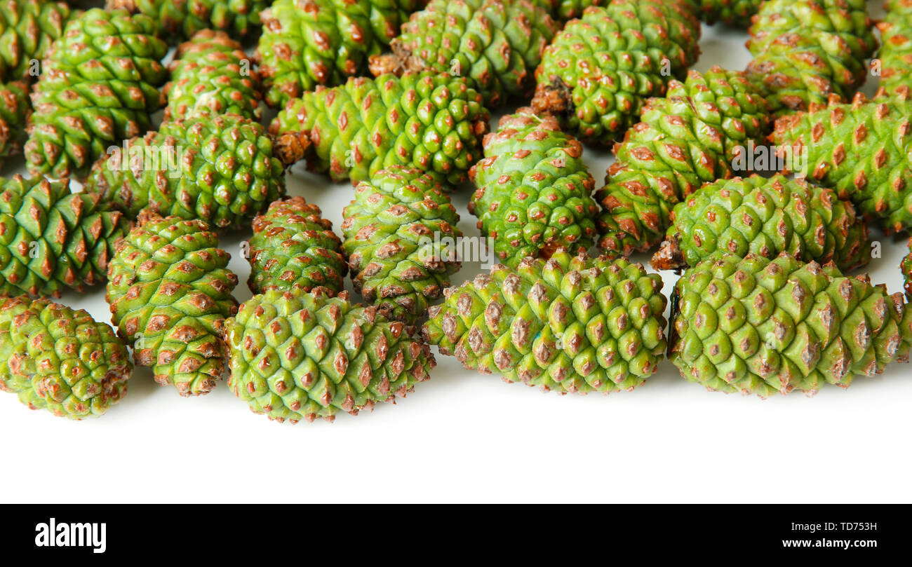 Green pine cones isolated on white Stock Photo - Alamy