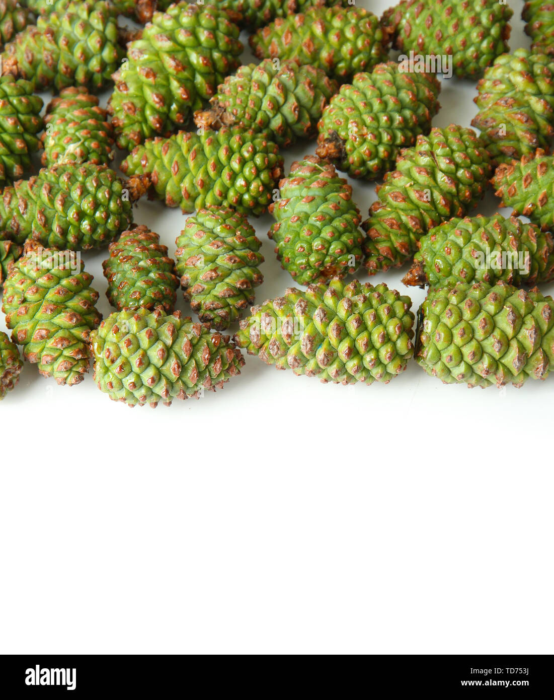 Green pine cones isolated on white Stock Photo - Alamy