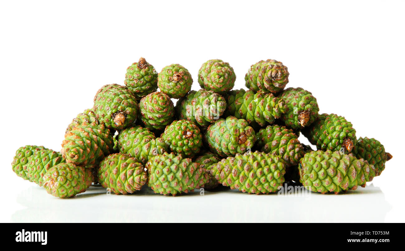Green pine cones isolated on white Stock Photo - Alamy