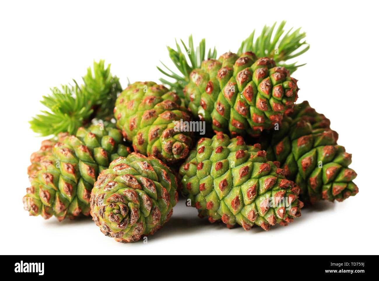 Young fir cones on Cut Out Stock Images & Pictures - Alamy