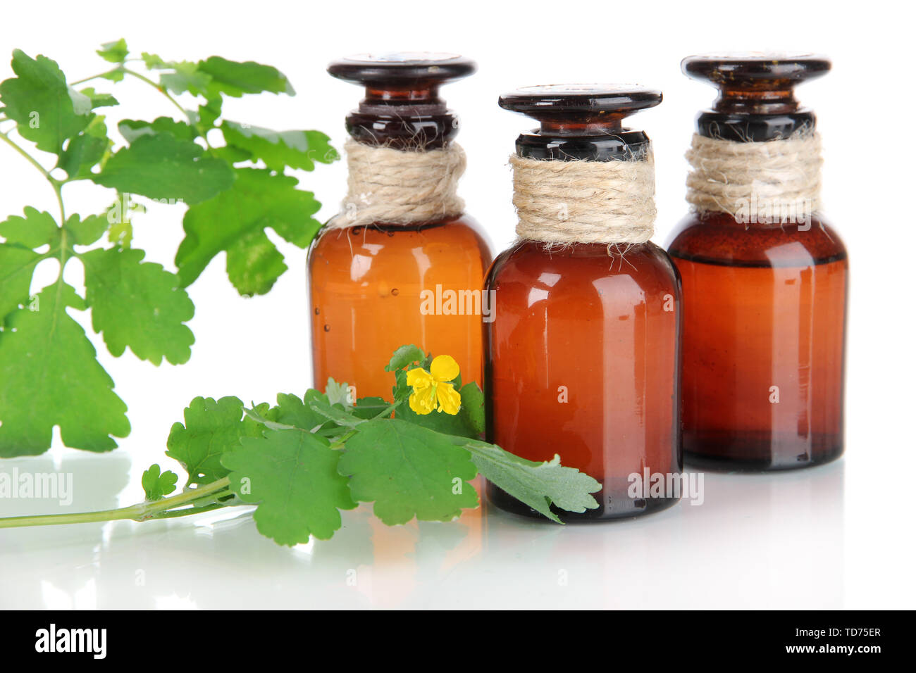 Blooming Celandine with medicine bottles isolated on white Stock Photo ...
