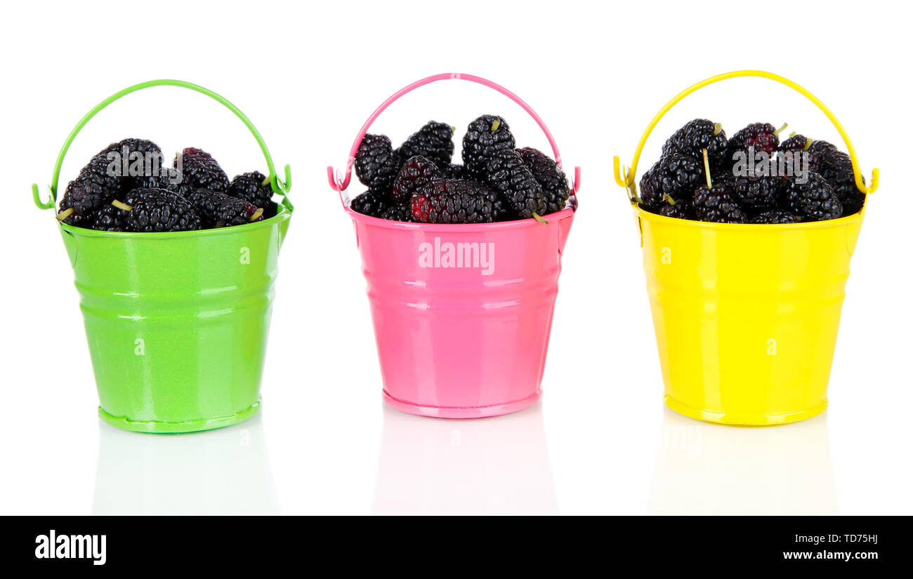 Ripe mulberries in buckets isolated on white Stock Photo - Alamy