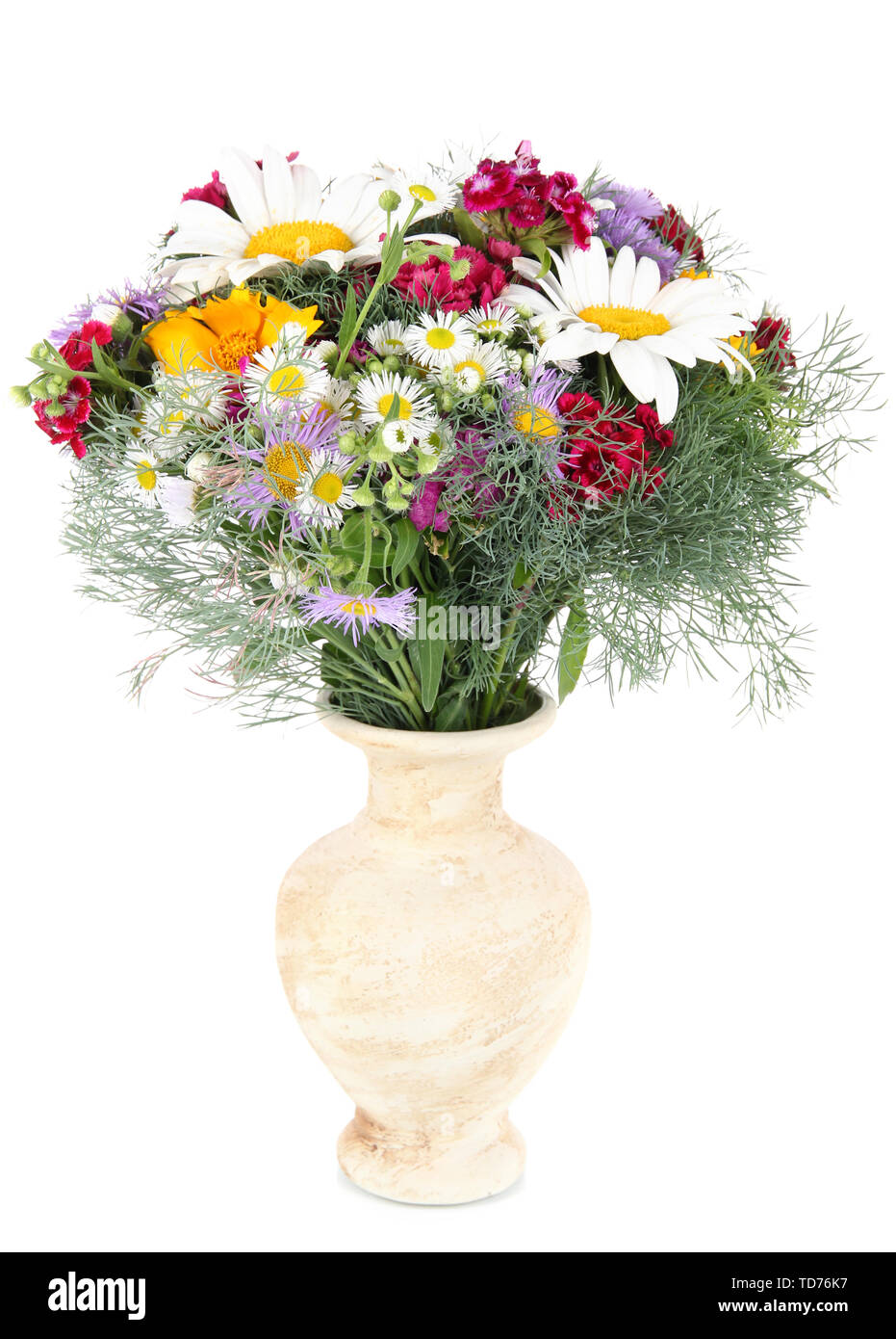 Beautiful bright flowers in vase isolated on white Stock Photo - Alamy