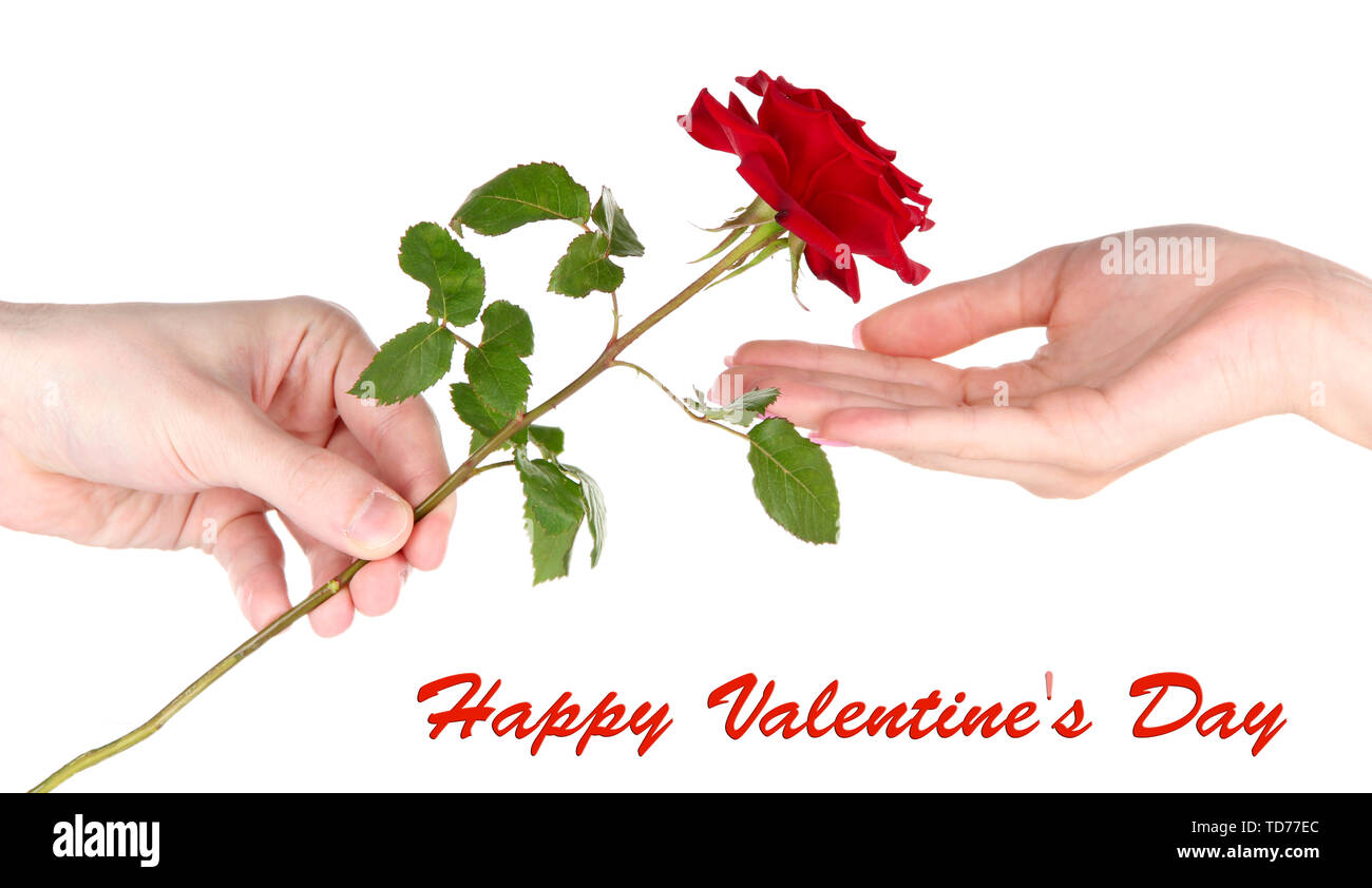 Giving a rose hi-res stock photography and images - Alamy