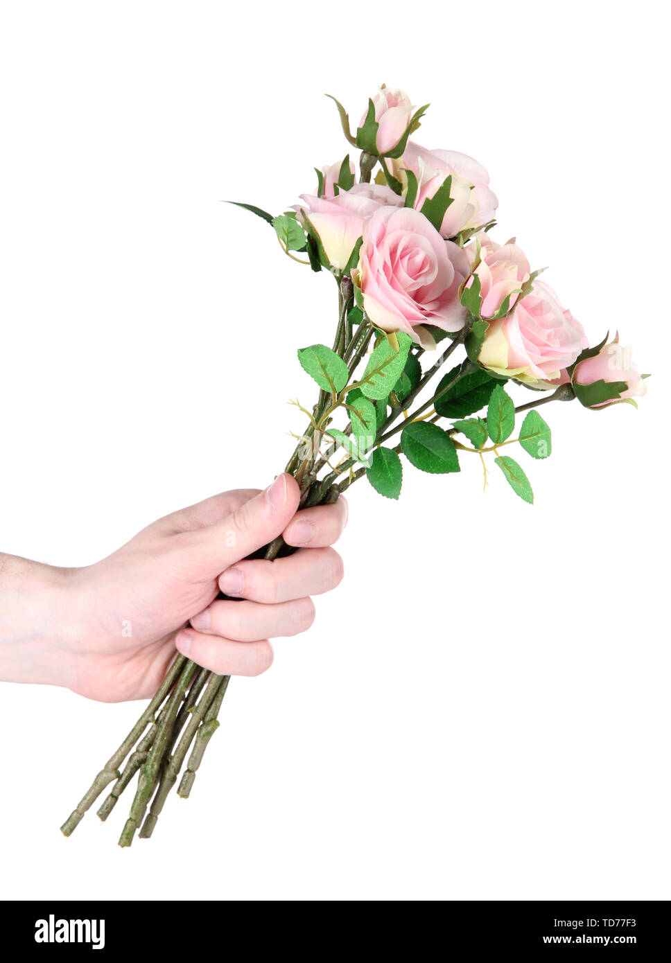 Man's hand giving a roses isolated on white Stock Photo - Alamy
