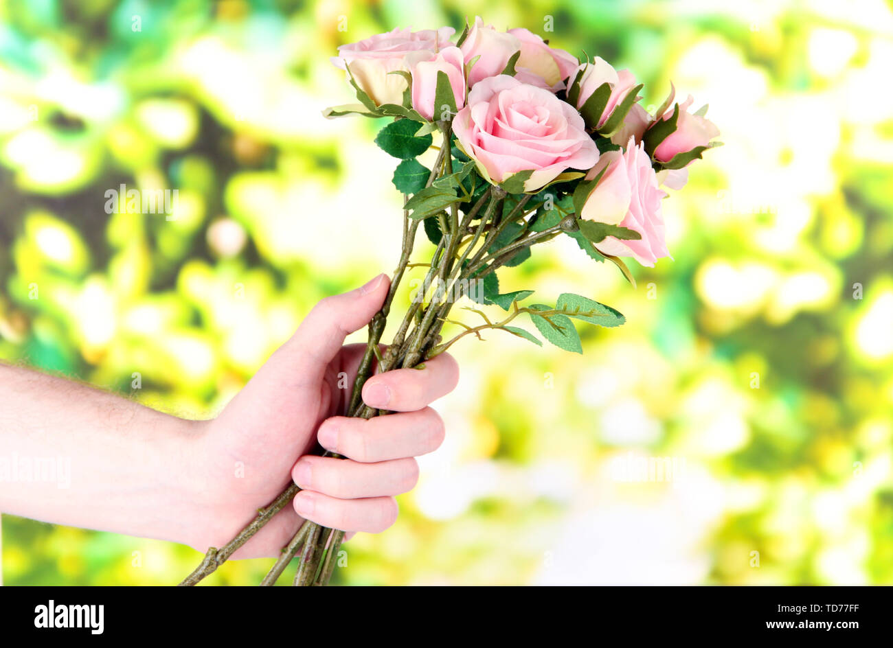 Mans hand giving rose hi-res stock photography and images - Alamy