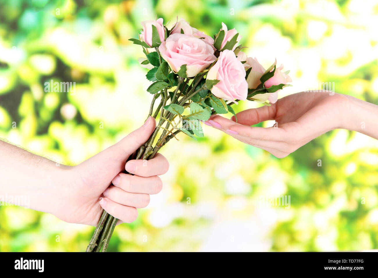 Mans hand giving rose hi-res stock photography and images - Alamy