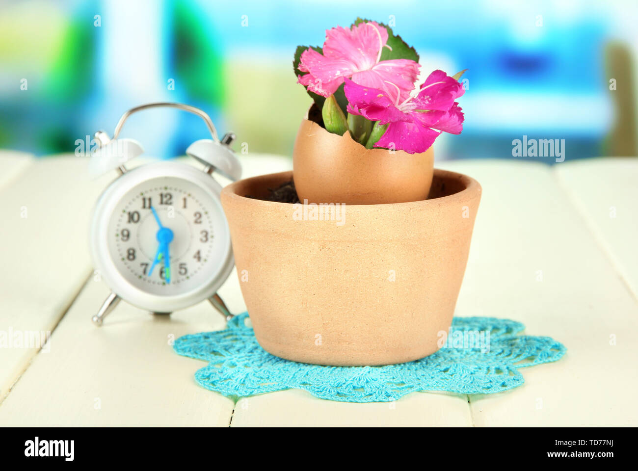 Flowers growing from egg shell, on bright background Stock Photo - Alamy