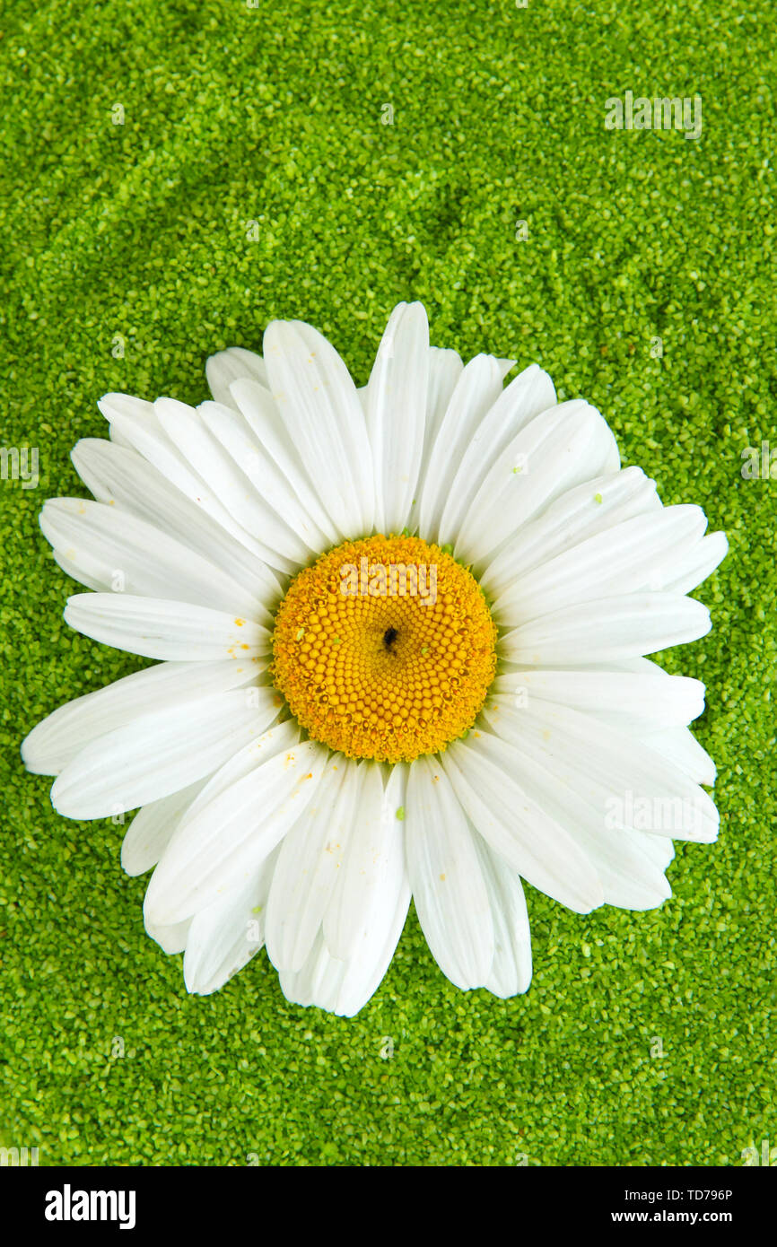 Decorative sand flower picture hi-res stock photography and images - Alamy