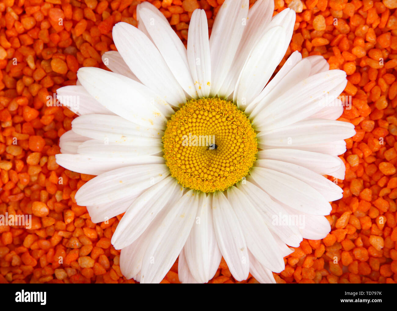 Decorative sand flower picture hi-res stock photography and images - Alamy