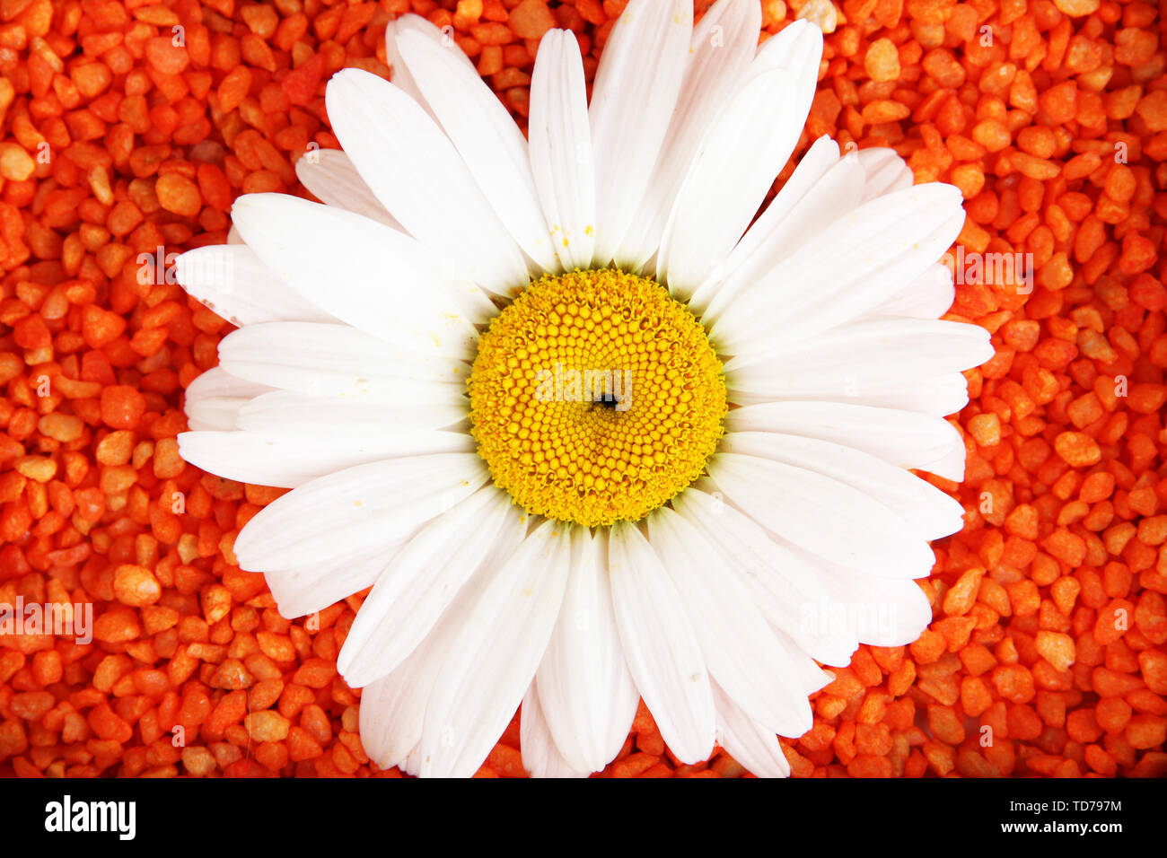 Colored decorative sand with flower close-up background Stock Photo - Alamy