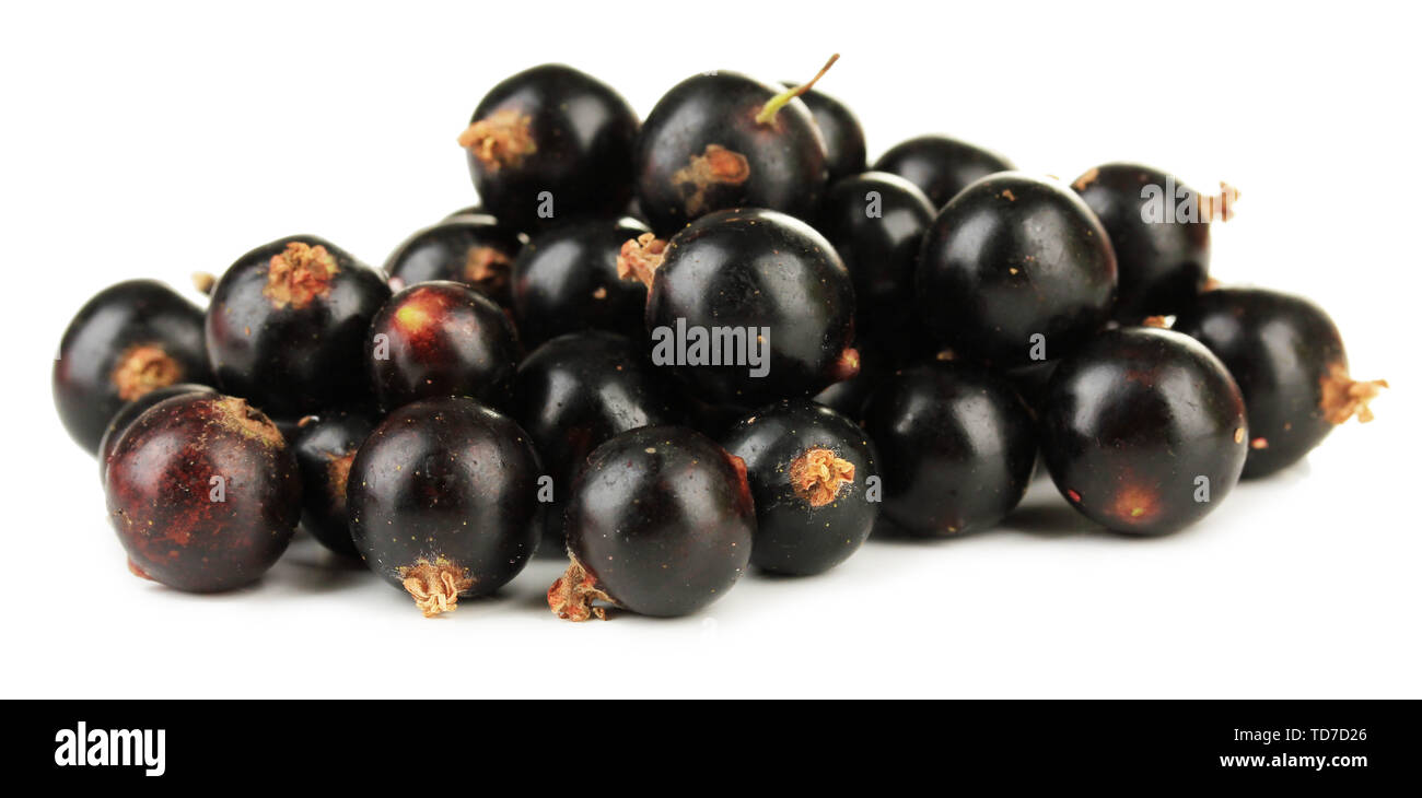 Black currant isolated on white Stock Photo - Alamy