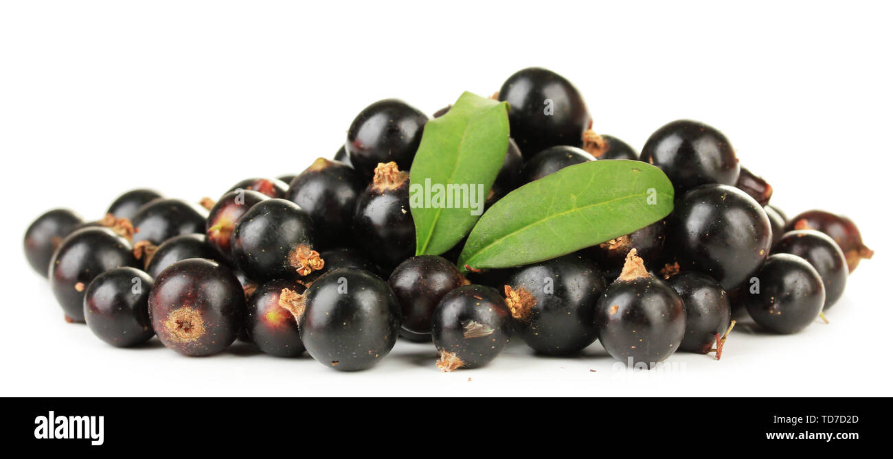 Black currant isolated on white Stock Photo - Alamy