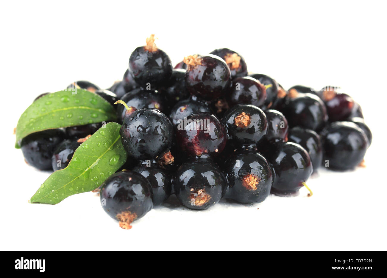 Black currant isolated on white Stock Photo - Alamy