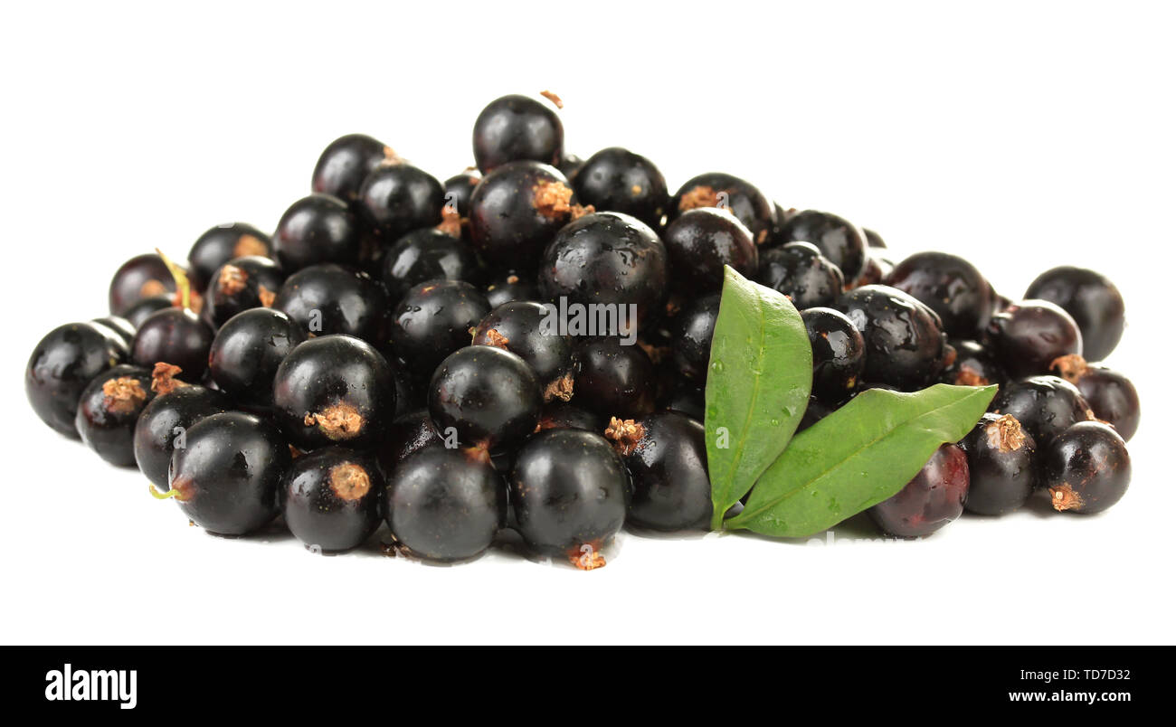 Black currant isolated on white Stock Photo - Alamy